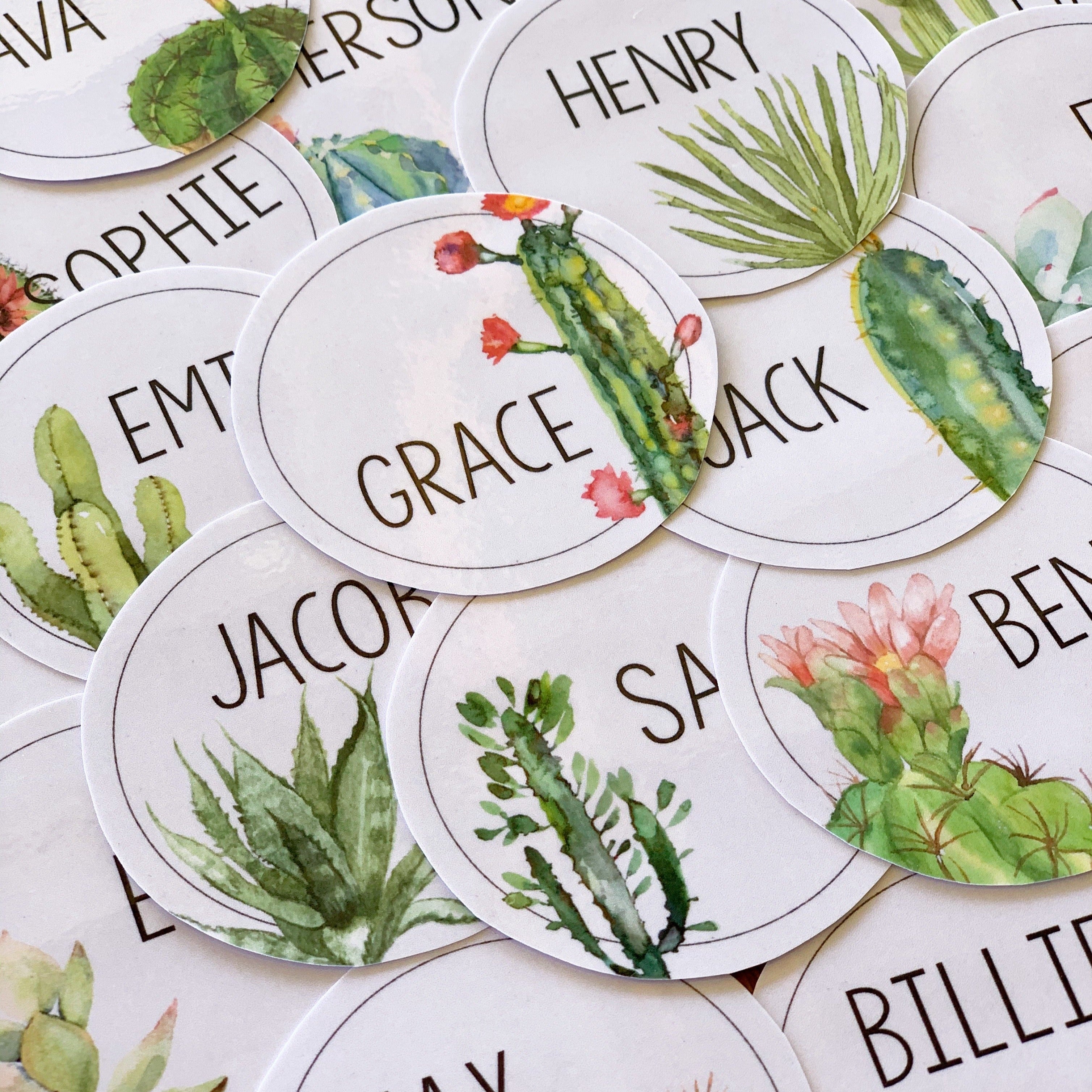 CACTUS Classroom Labels + Signs Pack - classroom HQ