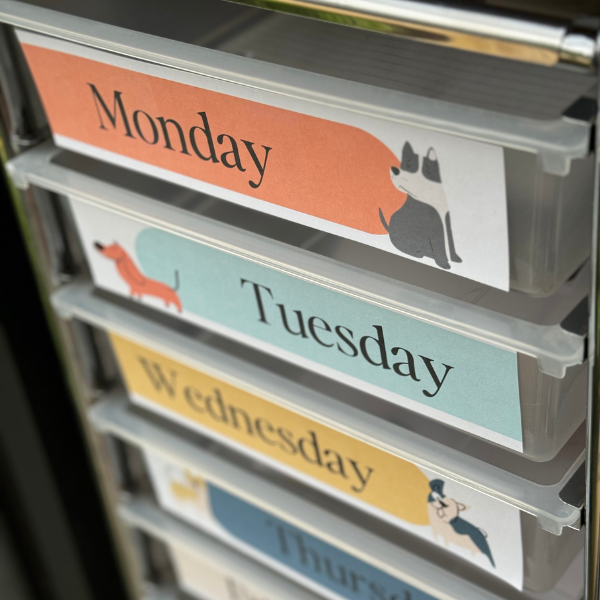 DOG DAYS Teacher Trolley 10-Drawer Rolling Cart Labels - classroom HQ