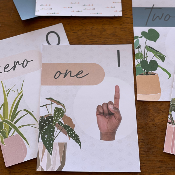 PLANT LIFE Number Posters - classroom HQ