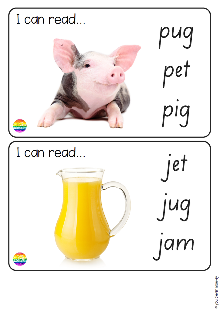 CVC Word I Can Read Cards - classroom HQ