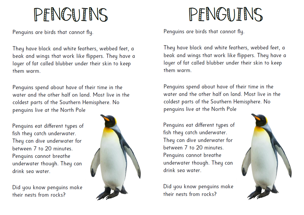 Informational Text Writing Pack - BIRDS - classroom HQ