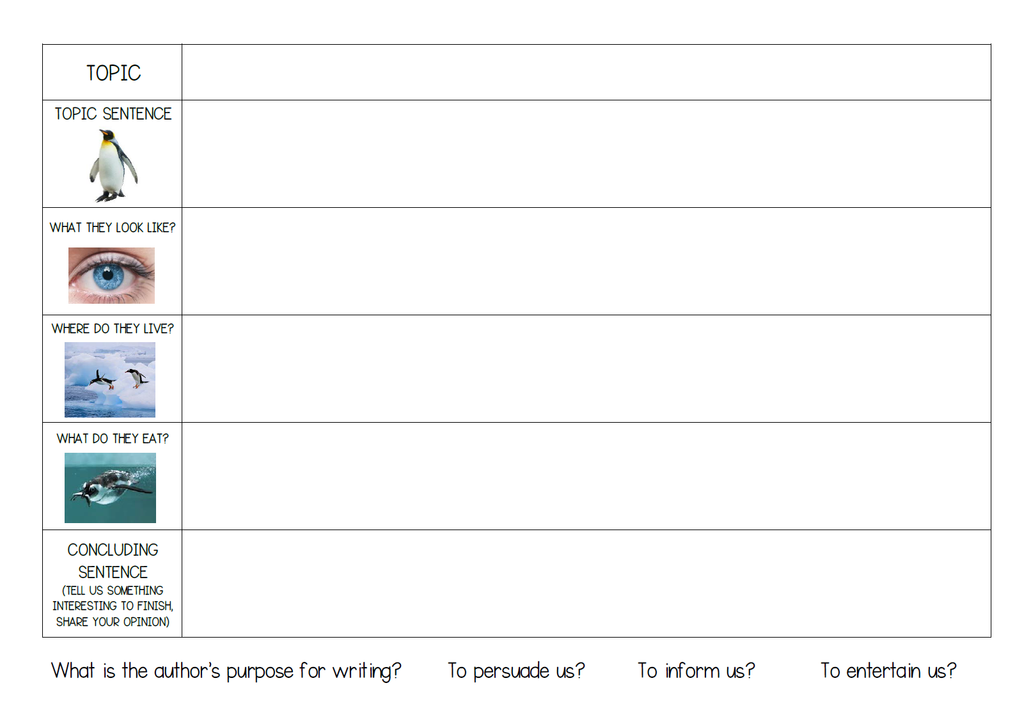 Informational Text Writing Pack - BIRDS - classroom HQ