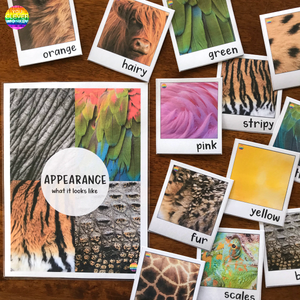 Add An Adjective Writing Centre BUNDLE