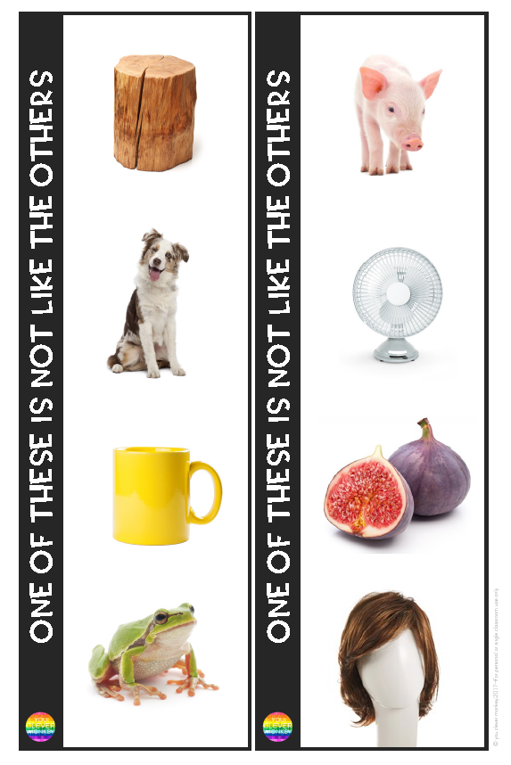 Rhyming Word Match Cards - classroom HQ