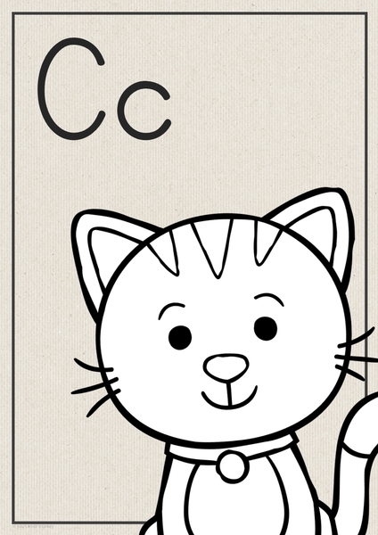 TROPICAL COAST Alphabet Posters + ASL and Auslan Posters - classroom HQ