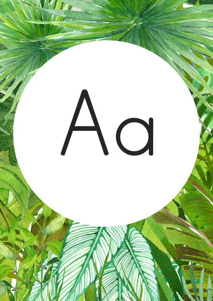 TROPICAL COAST Alphabet Posters + ASL and Auslan Posters - classroom HQ