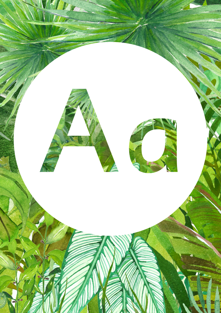 TROPICAL COAST Alphabet Posters + ASL and Auslan Posters - classroom HQ