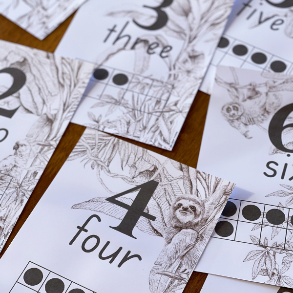 WILD TROPICS Number Posters - classroom HQ